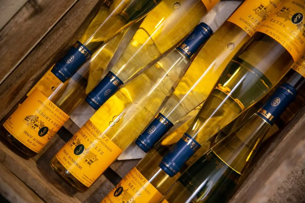 Wine tasting room - Domaine Albert Seltz